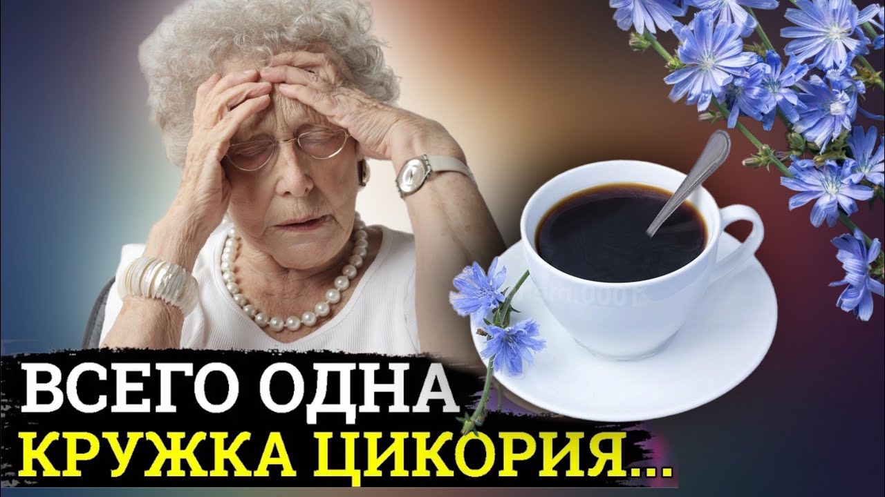Вот что творит Цикорий если пить Каждый день Youtube