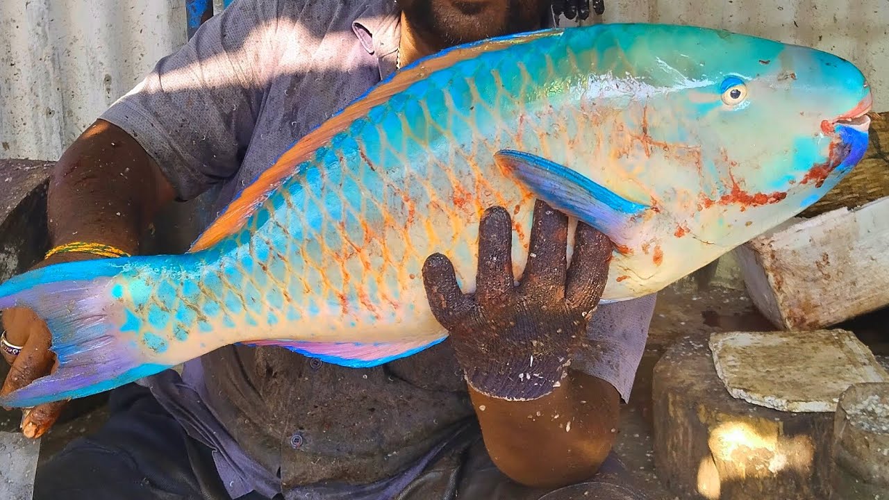 🦜 FISH CUTTING VIDEO/ VERY BEAUTIFUL 😍 FISH / VERA LEVEL TASTY 😋 - YouTube