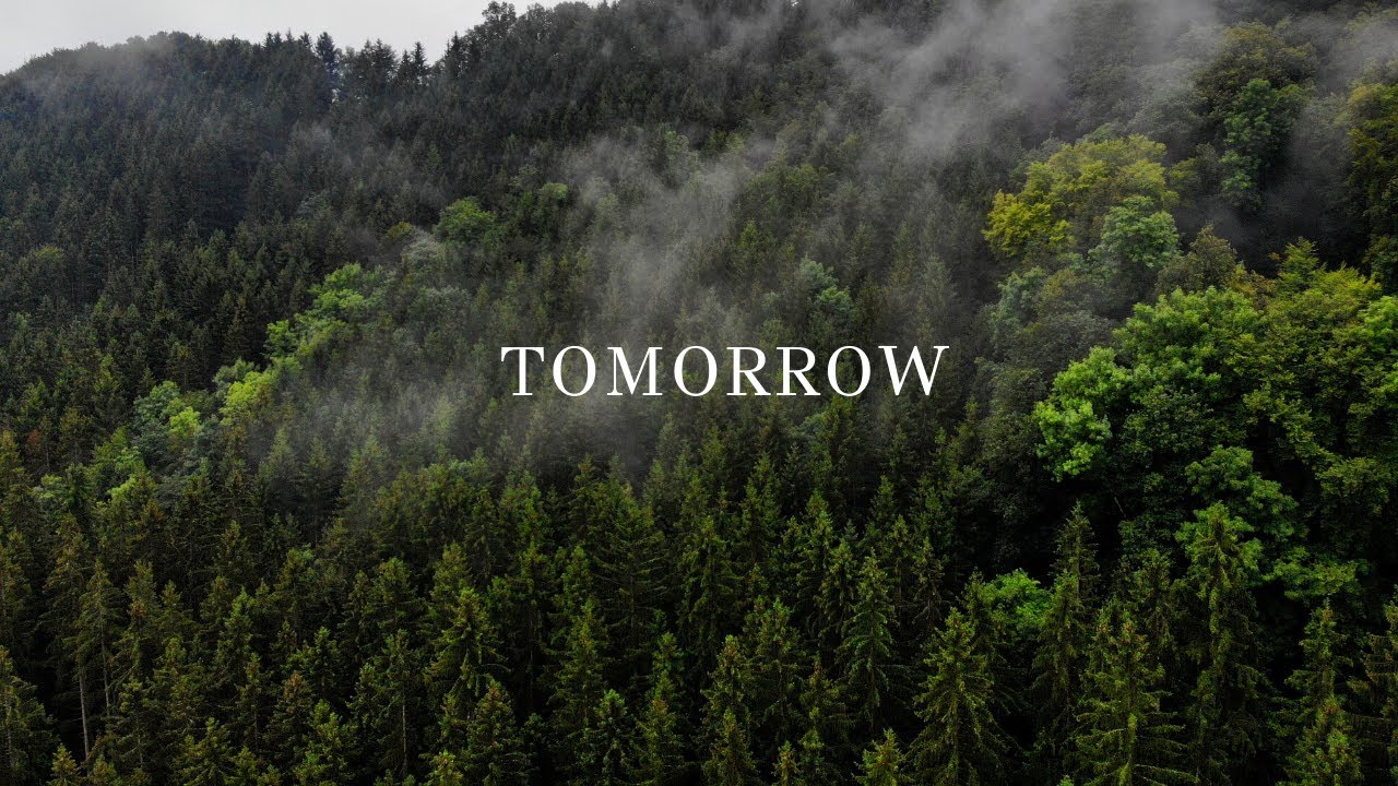 where the fear of tomorrow is unknown - YouTube
