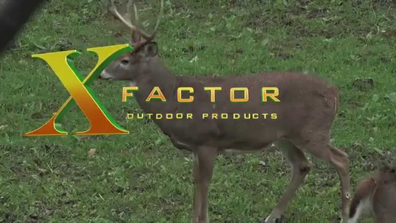 X Factor Bow Stand - YouTube