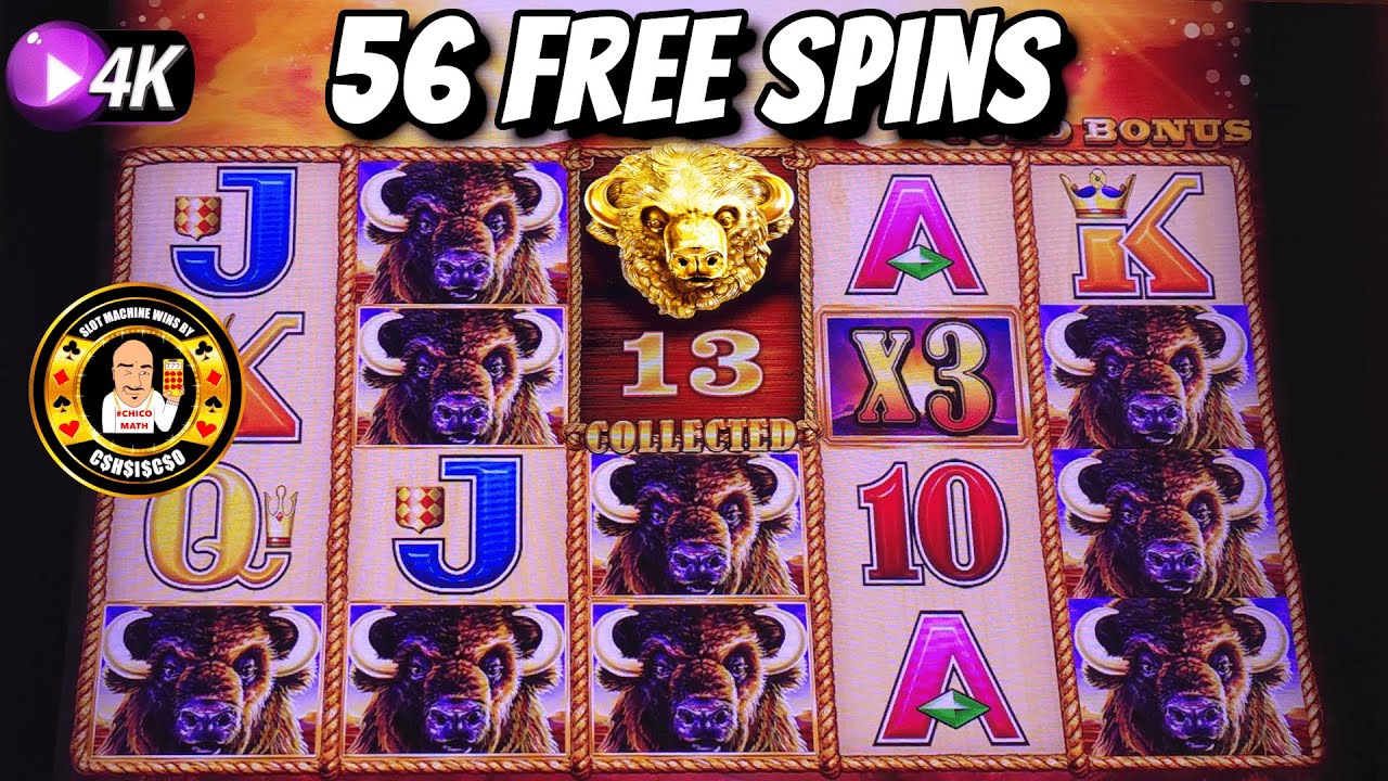 56 Free Spins Pays HUGE on Buffalo Gold Slot Machine - YouTube