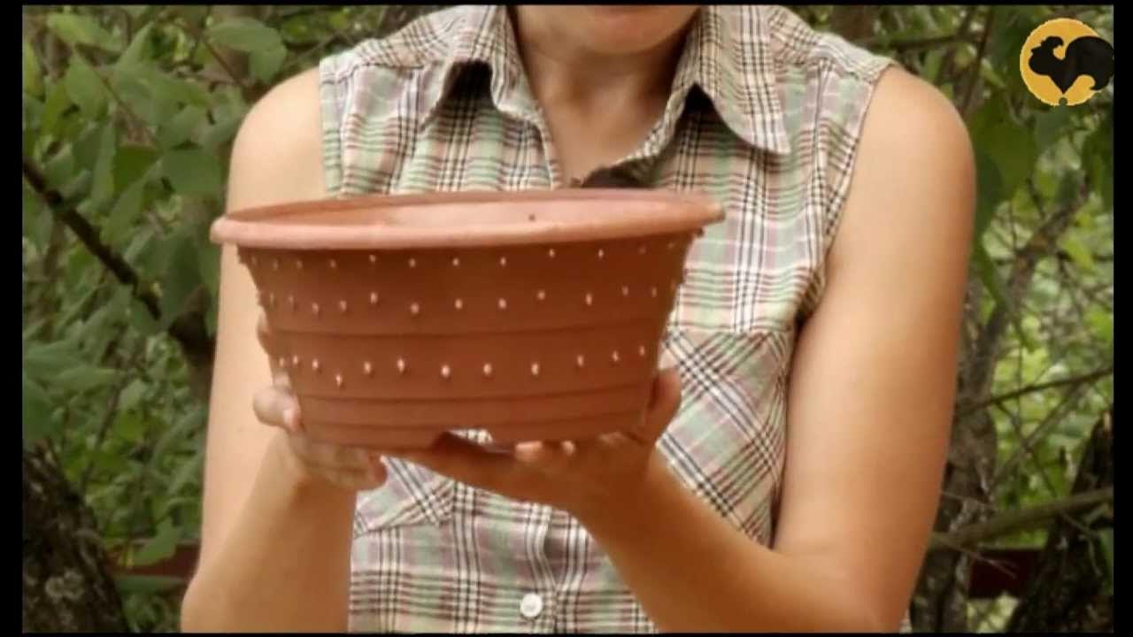 Садовый водоём. САД день за днем №9. - YouTube