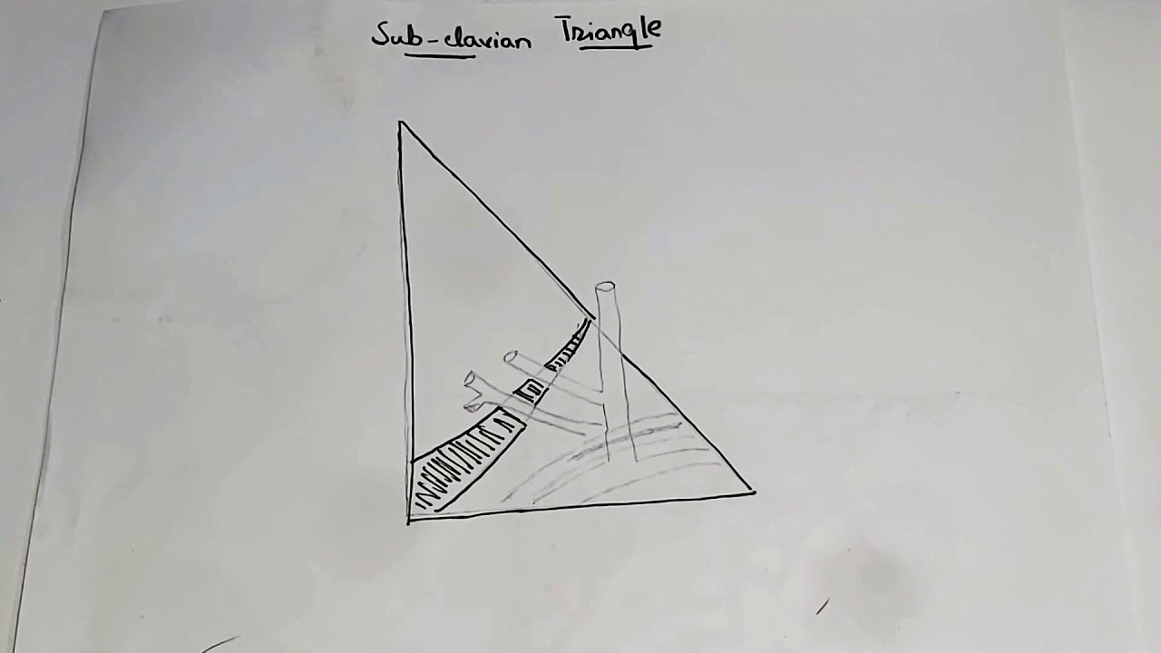 SubClavian Triangle - YouTube