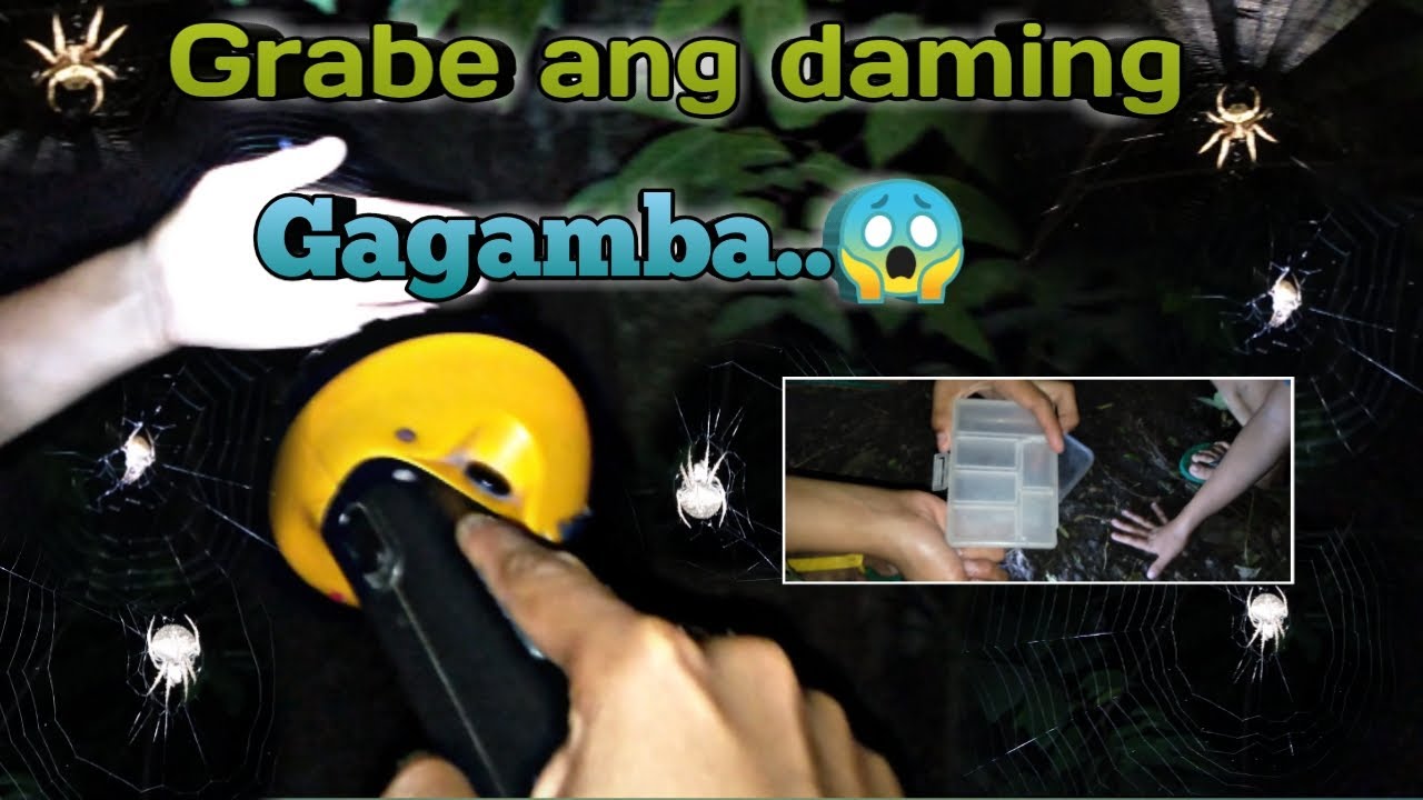 SPIDER HUNTING IN (Binangonan Rizal) | NAPAKARAMING GAGAMBA😱 | SPIDER ...