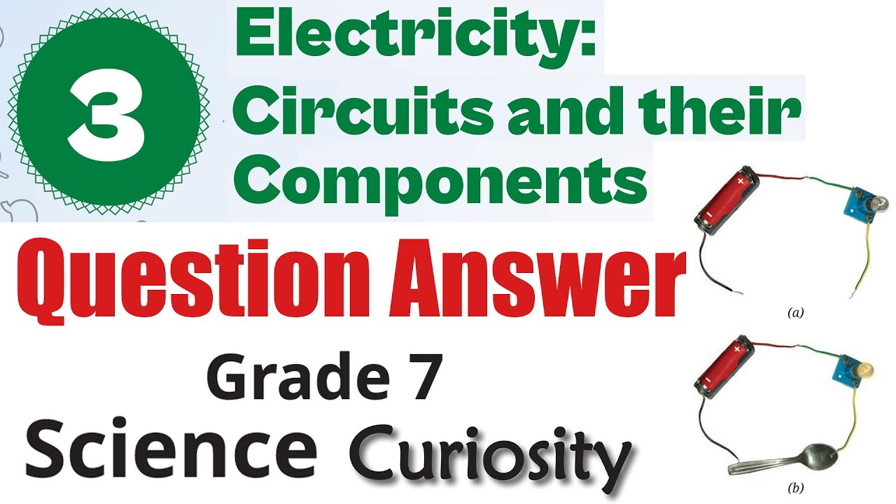 3. Electricity: Circuits and their Components (Question Answer) | Grade ...