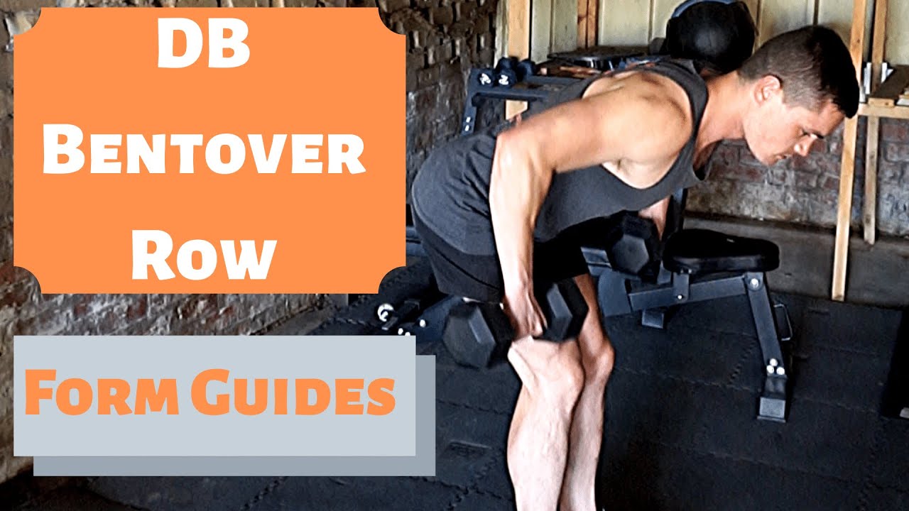 How To Do a Dumbbell Bent Over Row (Horizontal Pull) - YouTube