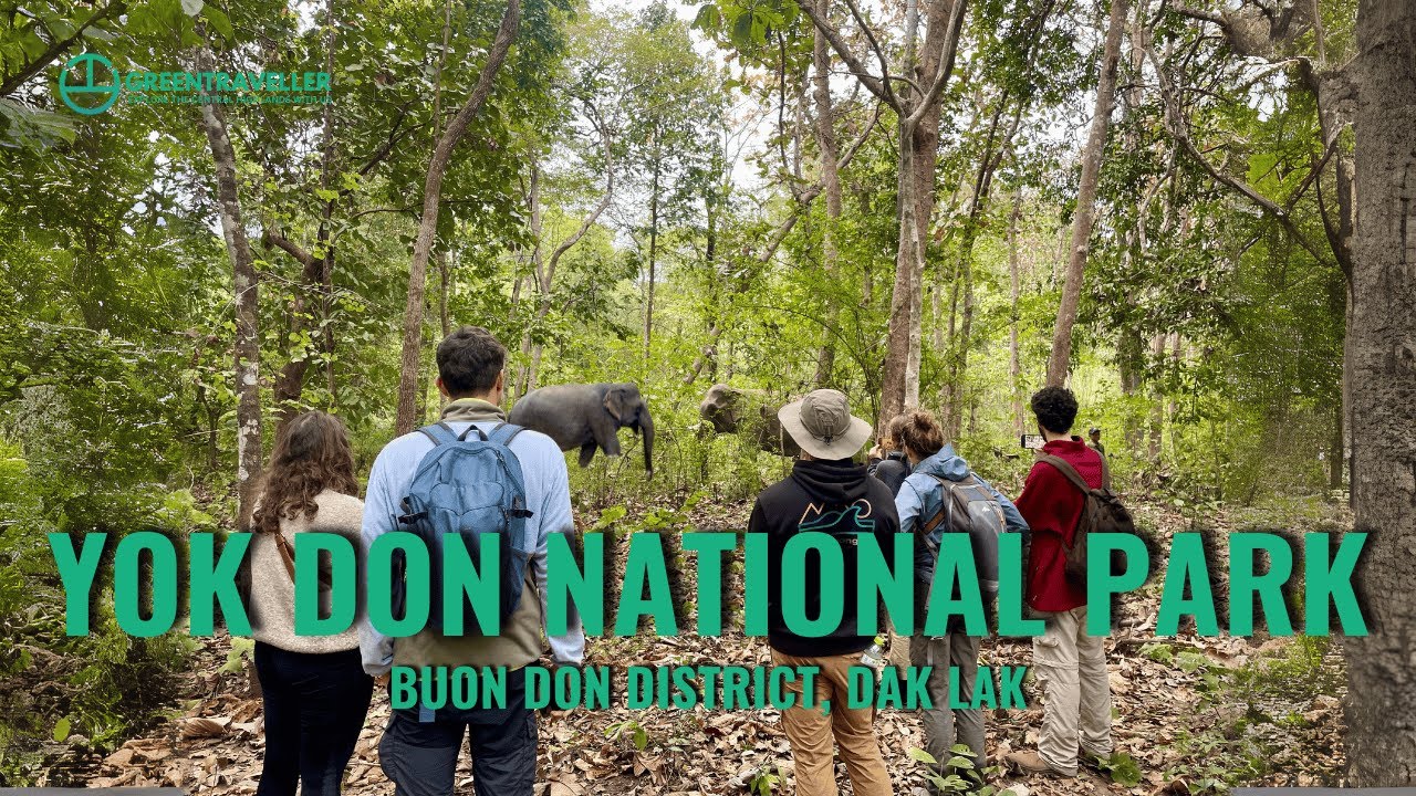 🐘Discover Yok Don National Park | Nature, Elephants & Adventure Awaits ...