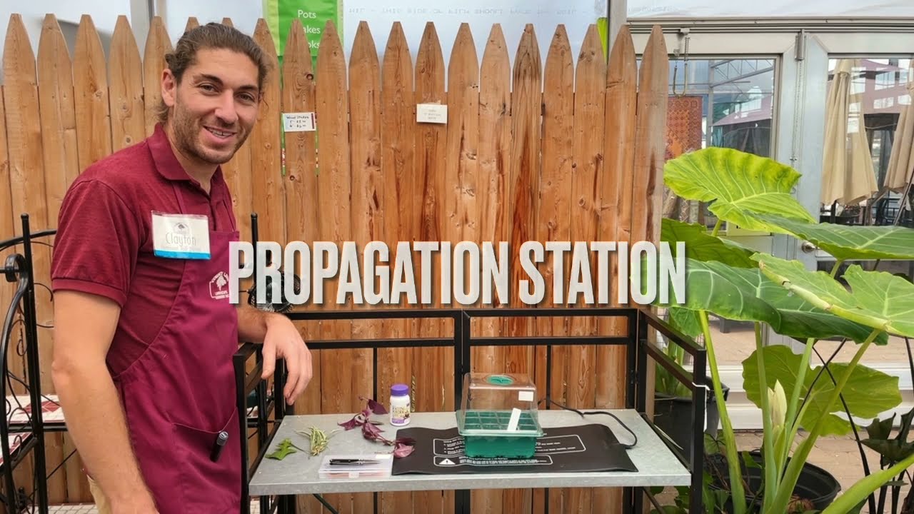 Propagation- How To & Tools You'll Need - YouTube
