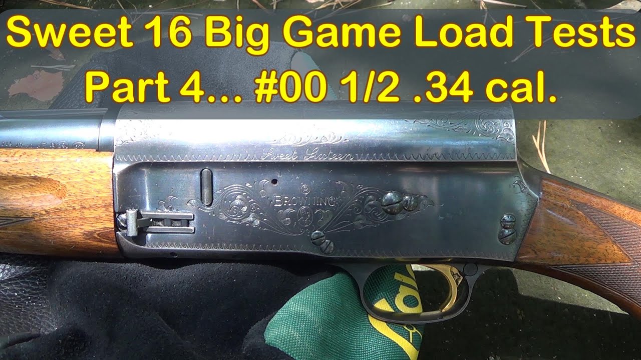 16 Gauge Buckshot Range Tests Part 4! Browning Sweet 16. - YouTube