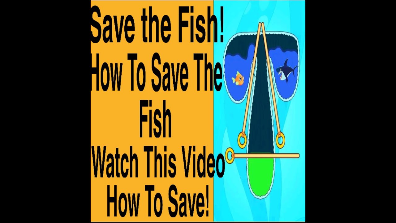 Save the Fish / how to save the Fish / watch the video how to save ...