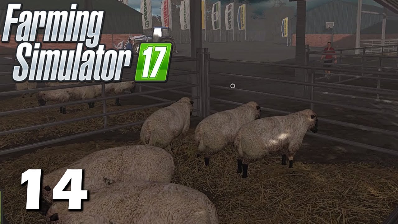 Sheep, Sheds & Shenanigans {14} || Farming Simulator 2017 + Mods - YouTube