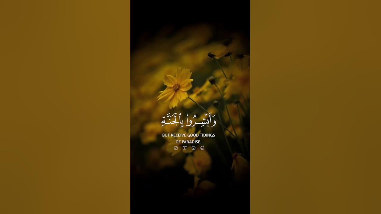 إن الذين قالوا ربنا الله ثم استقاموا تتنـزل عليهم الملائكة ألا تخافوا