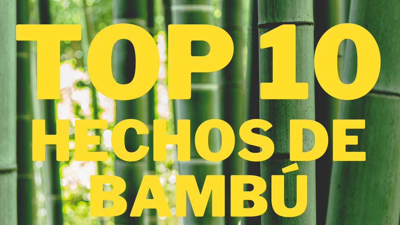 10 Productos hechos de BAMBU 2025🎍 - YouTube