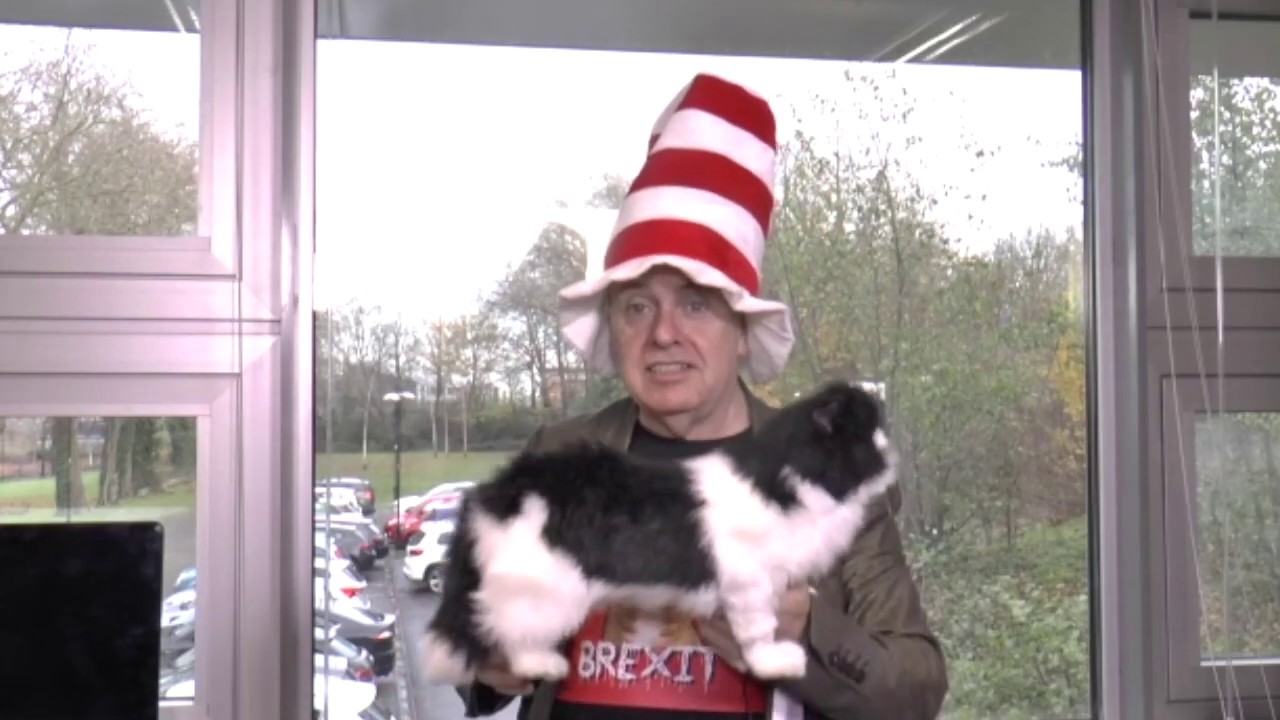 Stan The Cat 4 PM - I wanna be elected - YouTube