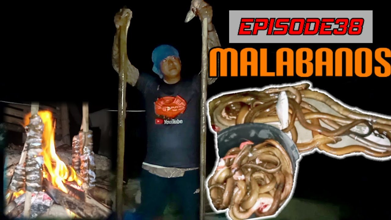 EPISODE38:NIGHT HUNTING MALABANOS Eel,GAMIT ANG KITANG |san jose ...