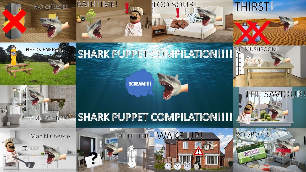 SHARK PUPPET COMPILATION!!!! - YouTube