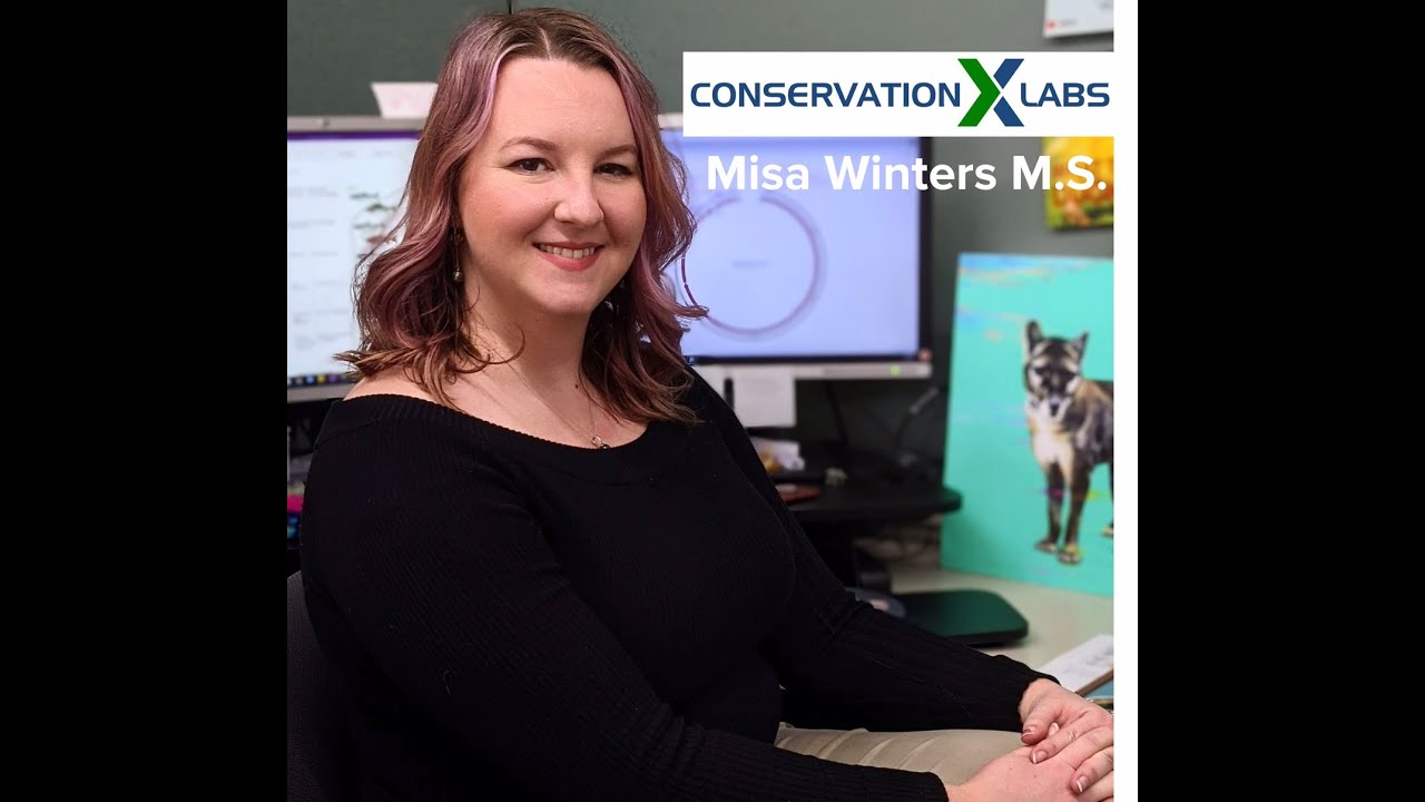 DNA science and nature conservation issues, with Misa Winters - YouTube
