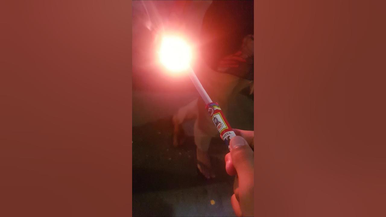 Main Petasan😎 | Part 1 #shorts #kocak #funny #mainpetasan #fyp - YouTube