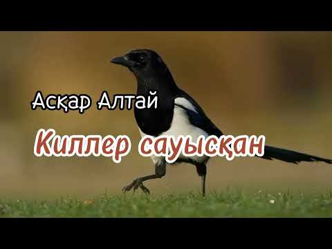 Киллер сауысқан#әңгіме - YouTube