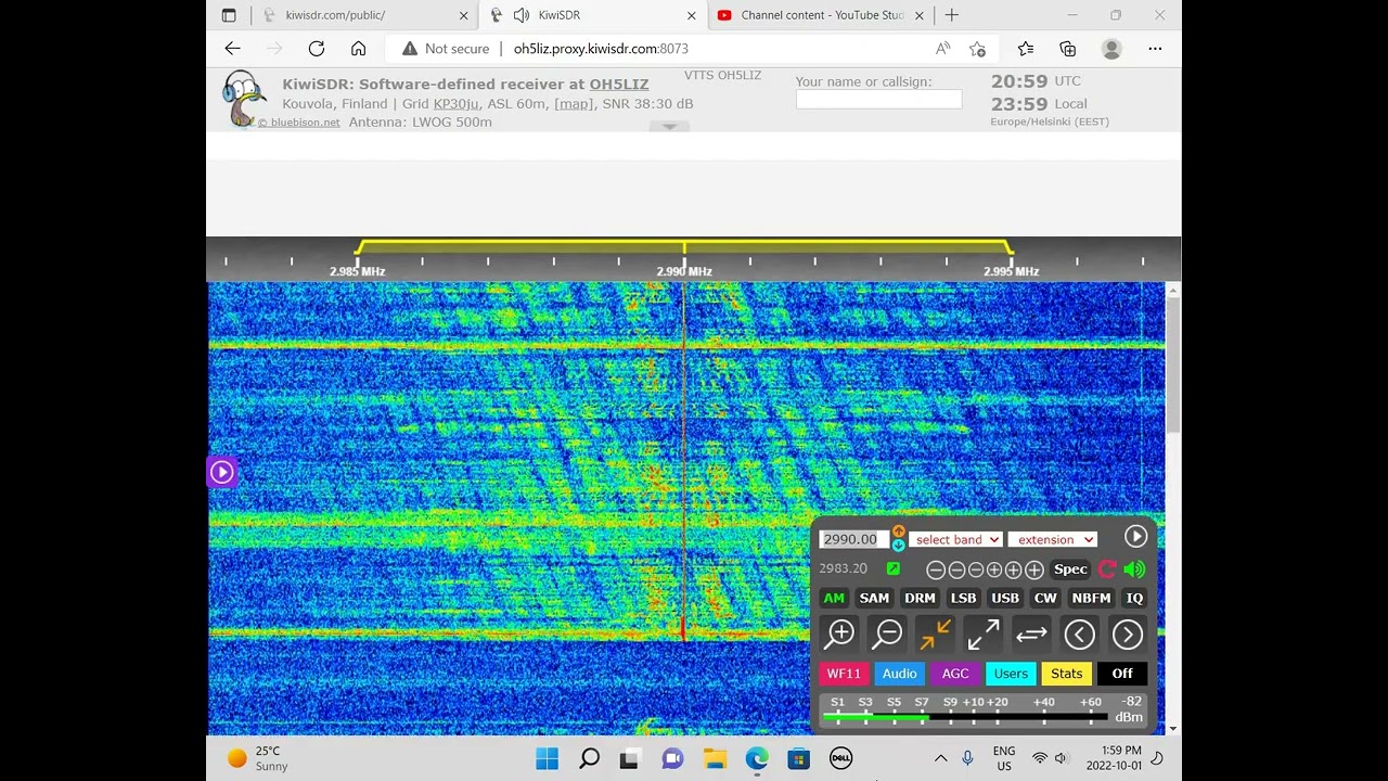 Radio Hooligans (Two way & Music, Russia/Ukraine) 2990v AM 2049 UTC 1 ...