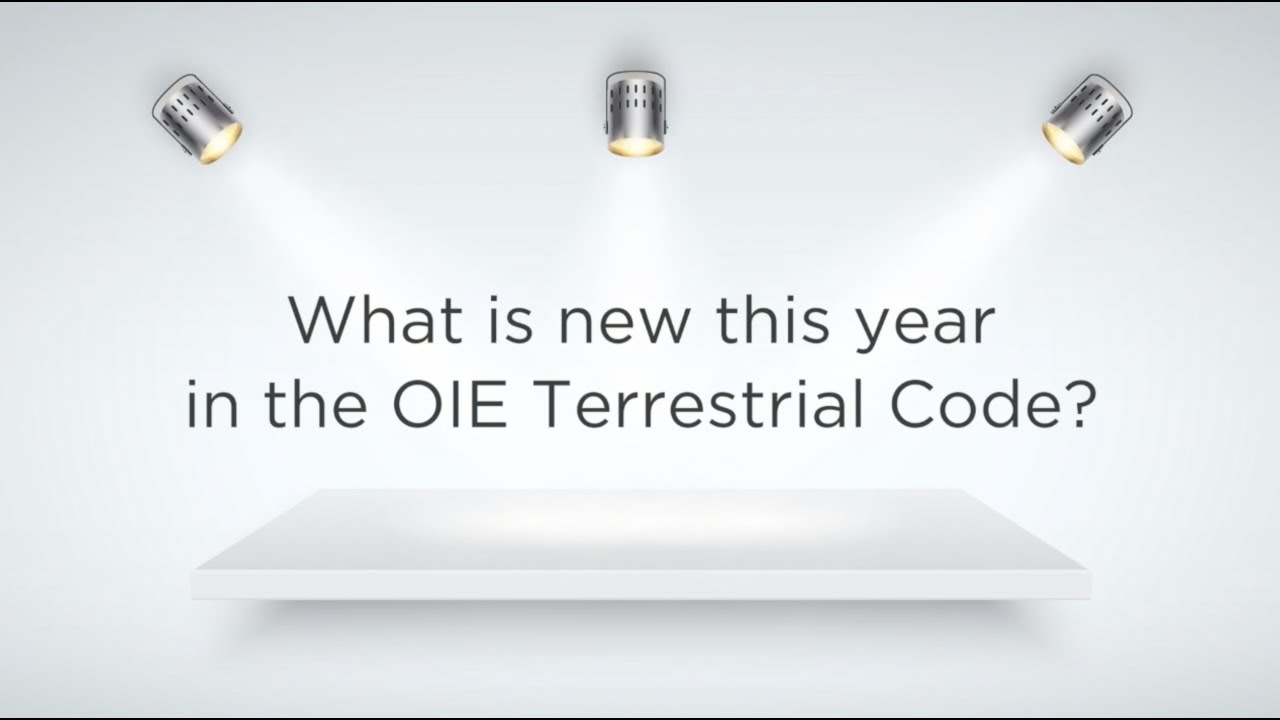 86SG Spotlight: Etienne Bonbon, Updates on the OIE Terrestrial Code ...
