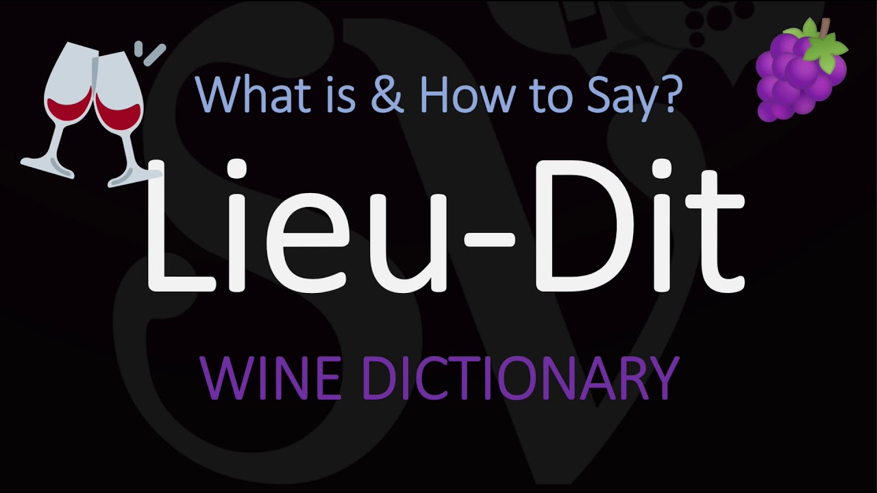 What is a Lieu-Dit? How to Pronounce it? Wine Term - Explained - YouTube