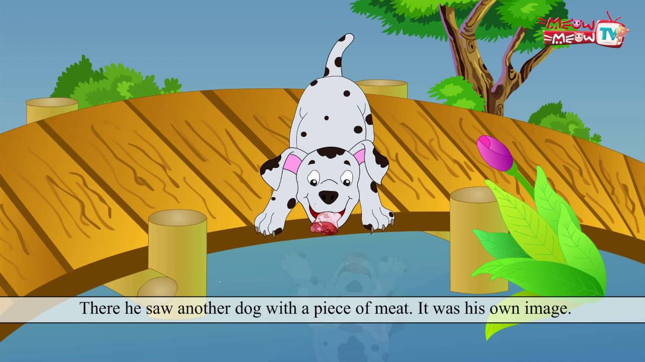 The Greedy Dog - Meow Meow TV - YouTube