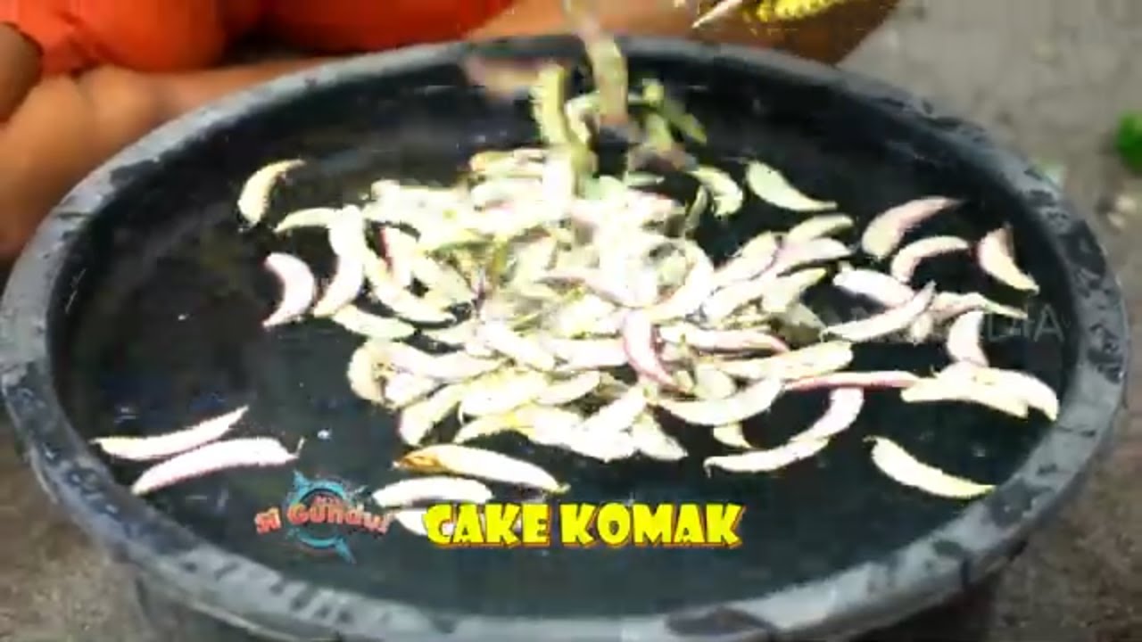 CAKE KOMAK | JEJAK SI GUNDUL (19/10/23) - YouTube