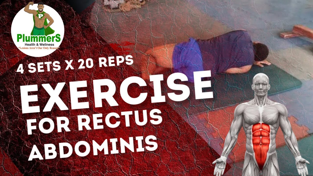 Exercise For Rectus Abdominis - YouTube