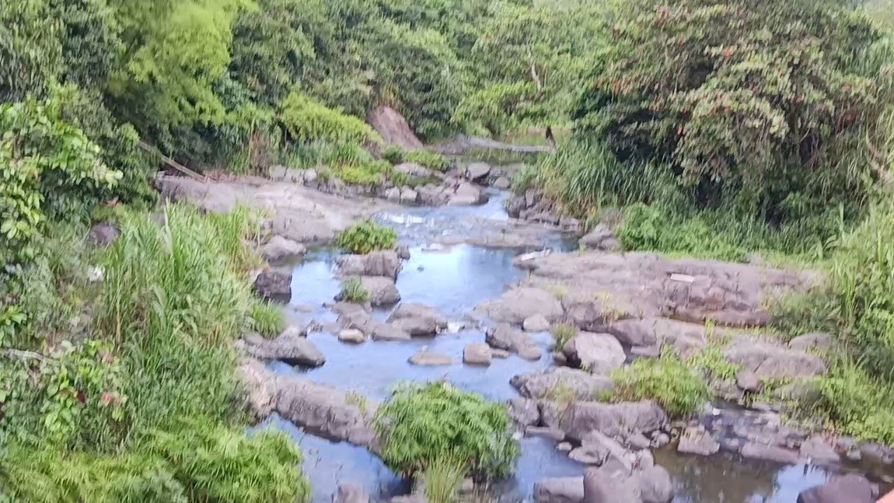 Explorador montes y rio de Puerto RicO - YouTube