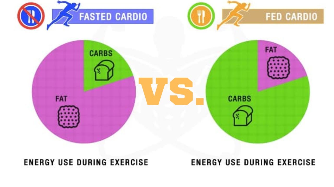 Fasted Cardio Vs Normal Fed Cardio Which Is Better For Fat Loss