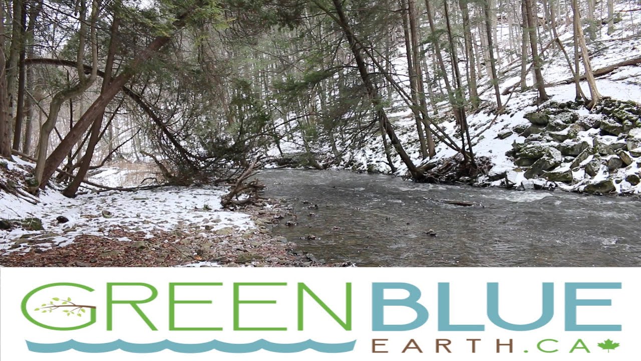 Looking for the Hobo Cabin Winter Camping - 1 night backpack. The Cuddy ...