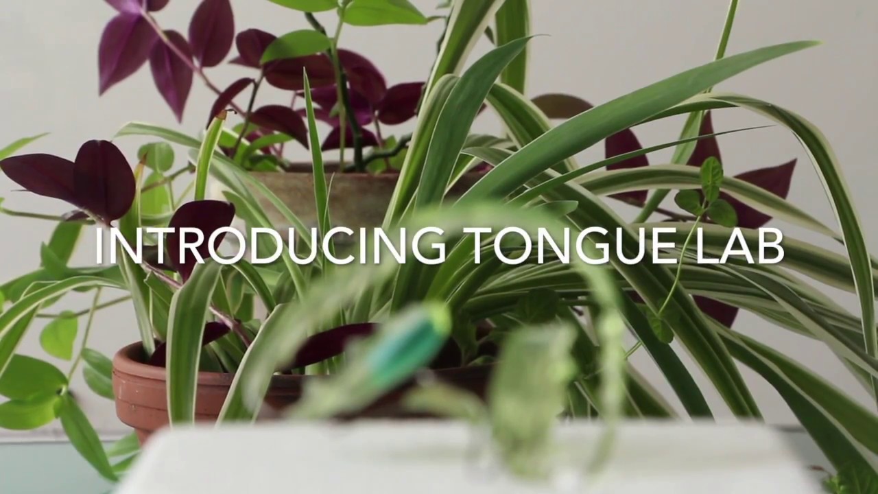 Introducing Tongue Lab - YouTube