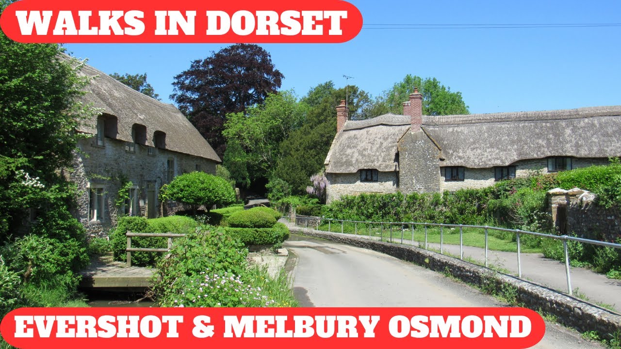 WALKS IN DORSET at EVERSHOT & MELBURY OSMOND (TWO OF THE PRETTIEST ...