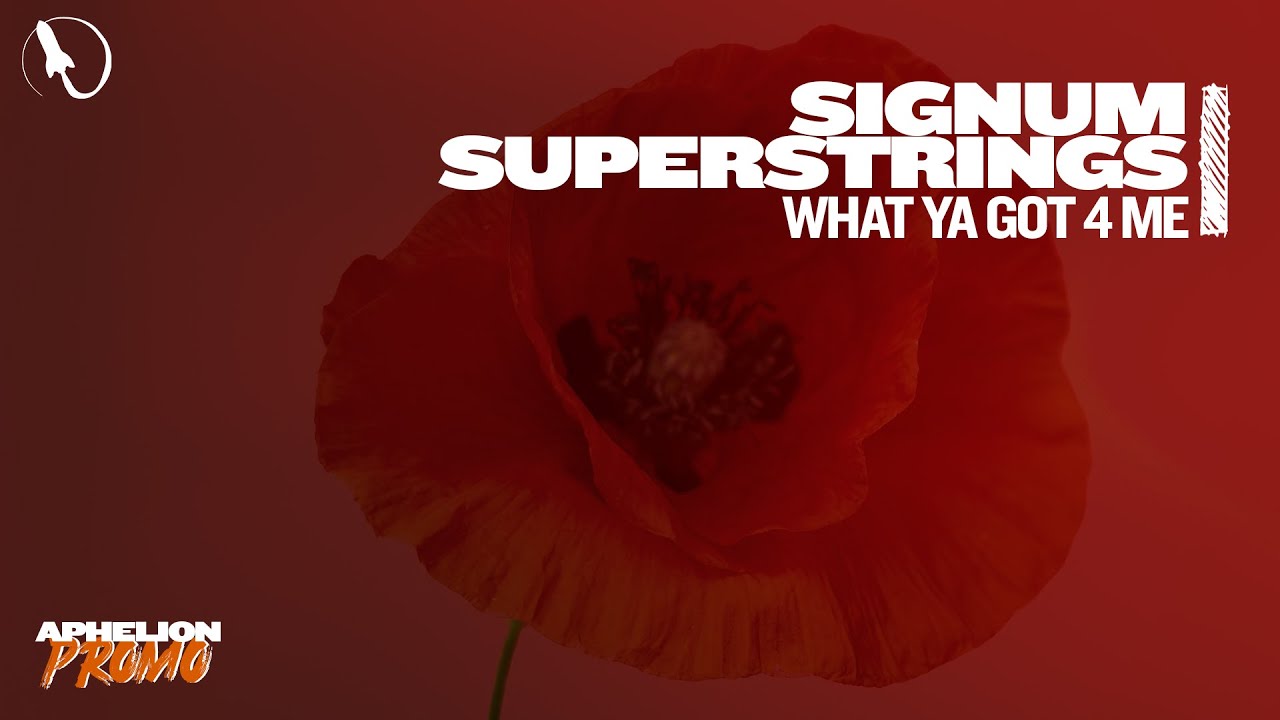 SUPERSTRINGS & Signum - What Ya Got 4 Me (Extended Mix) - YouTube