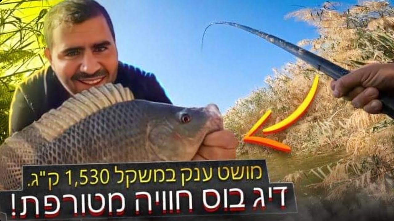 מושט ענק במשקל 1,530 . בדיג בוס חוויה מטורפת!!! A large freshwater fish ...