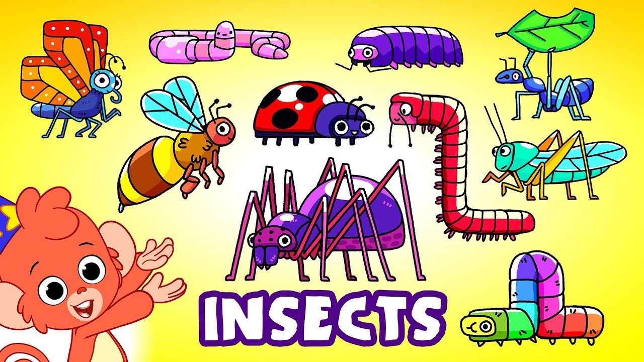 Learn Insects and Bugs for kids | Animals for kids | Club Baboo - YouTube