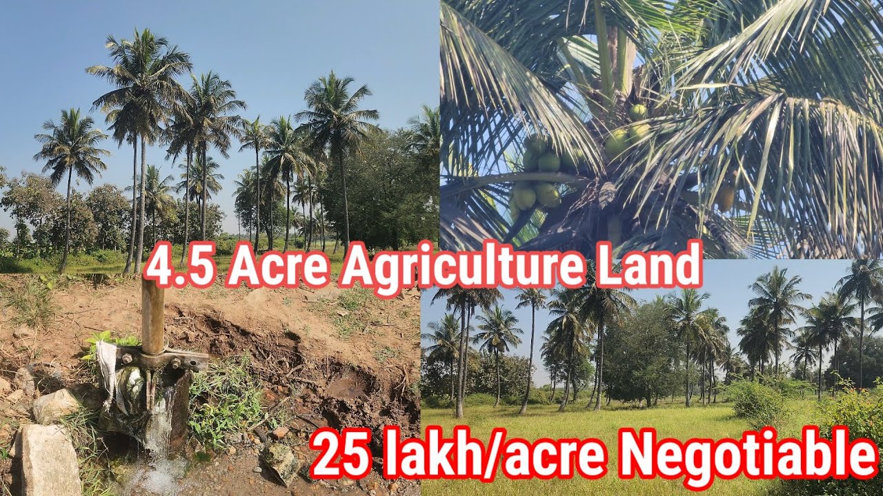 4.5 Acre Agriculture land for sale 1 Bore Mysore 52 km Bengaluru 180 km ...