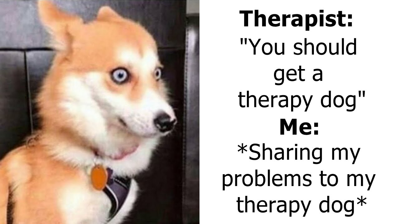 Sarcastic Memes Most People Should Have No Problem Relating To - YouTube