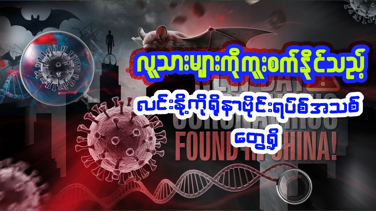 ၂၂ ၂ ၂၀၂၅ နိုင်ငံတကာသတင်းအစီအစဉ် Youtube