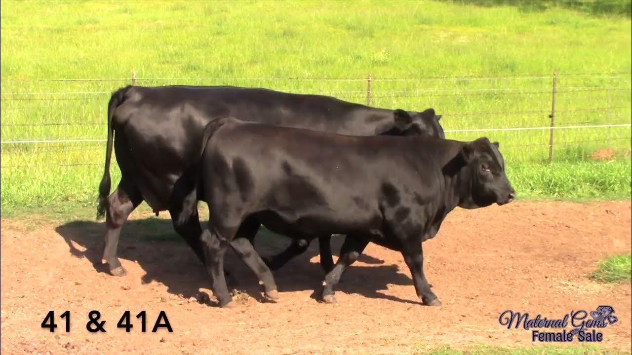 Lot 41 & 41A - YouTube