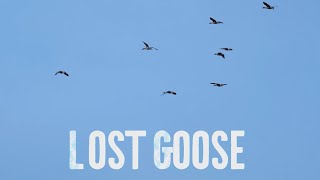 Lost Goose - Clawhammer Banjo - Official Single Video Chords - Chordify