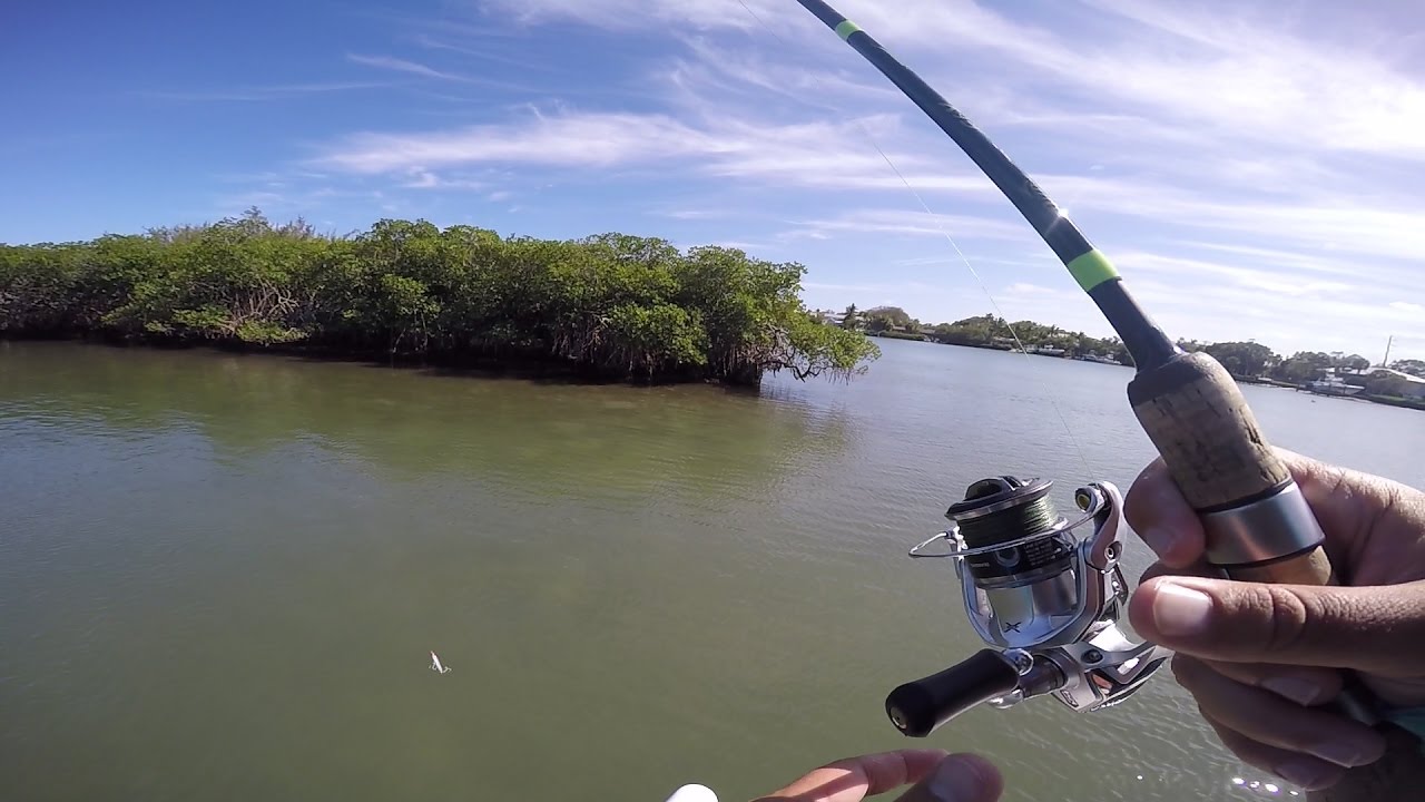 Saltwater Micro Fishing - YouTube