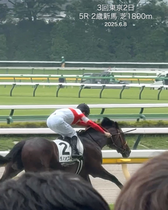 ダノンヒストリー 新馬勝ち エピファネイア産駒 ダミアン・レーン騎手 今年22勝目 JRA通算170勝目 新馬戦2連勝 3回東京2日 5R 2歳新馬 芝1800m - YouTube