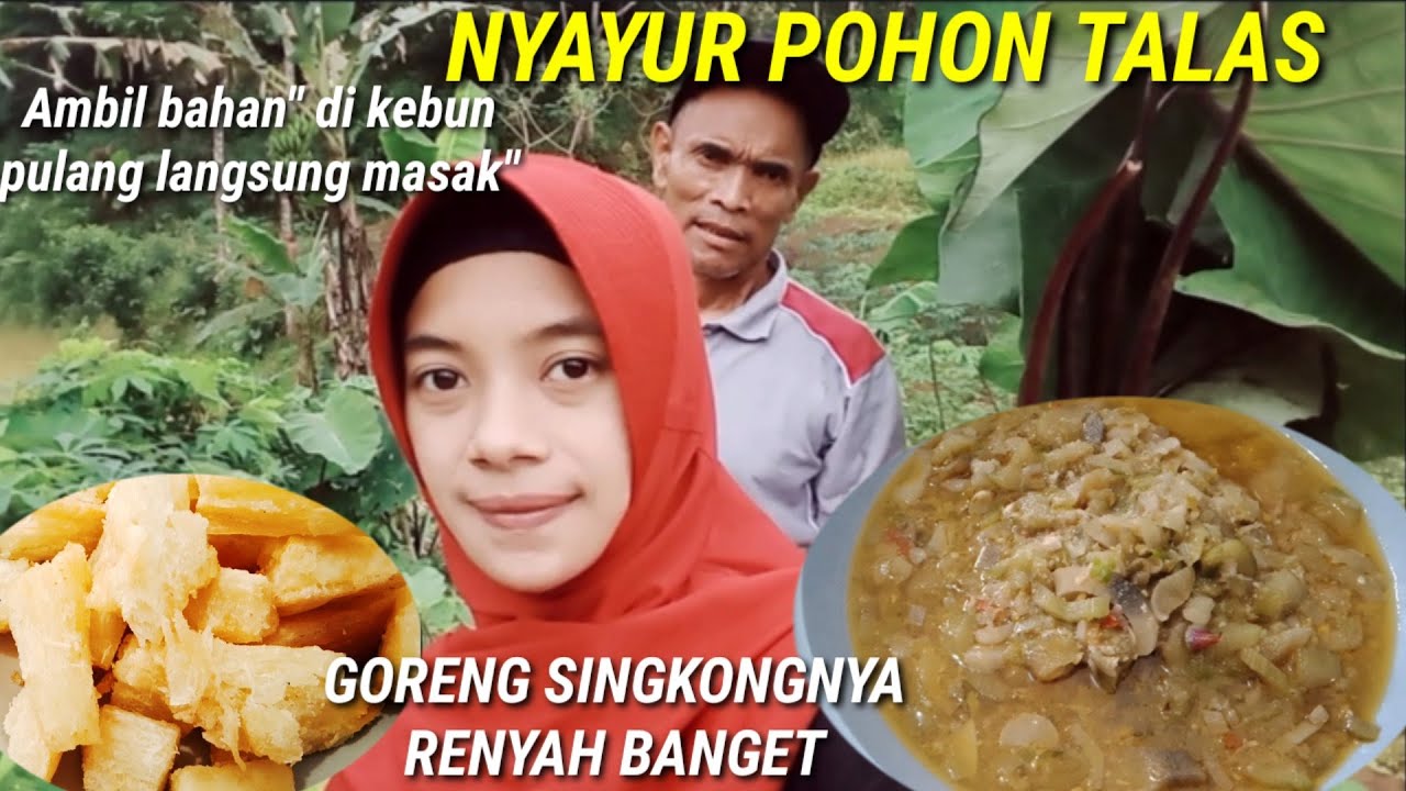 MASAK POHON TALAS & GORENG SINGKONG REBUS - YouTube