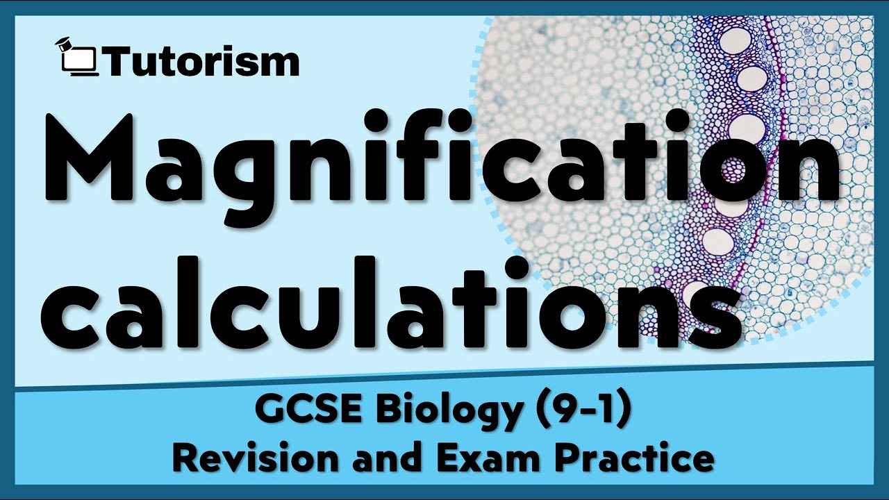 ACE Magnification Calculations🔍| GCSE Biology Exam Practice & Revision ...