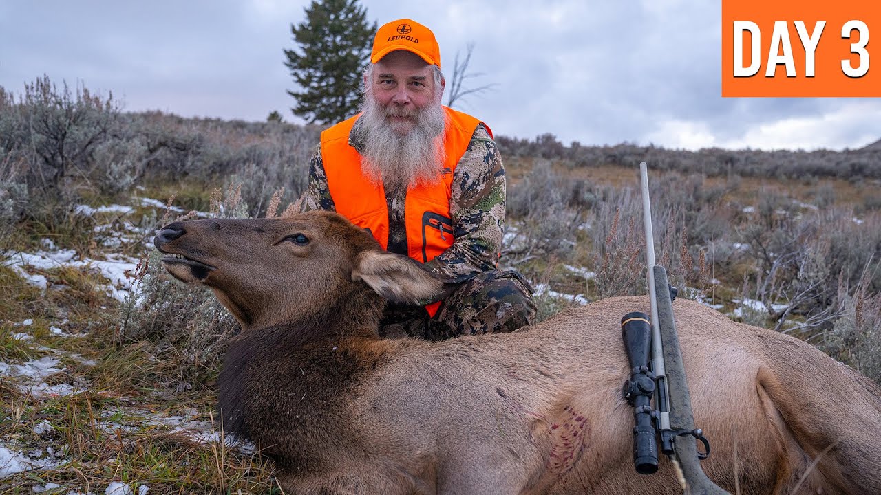 The Quickest Elk Hunt We've Ever Filmed | Montana Rifle Opener - YouTube