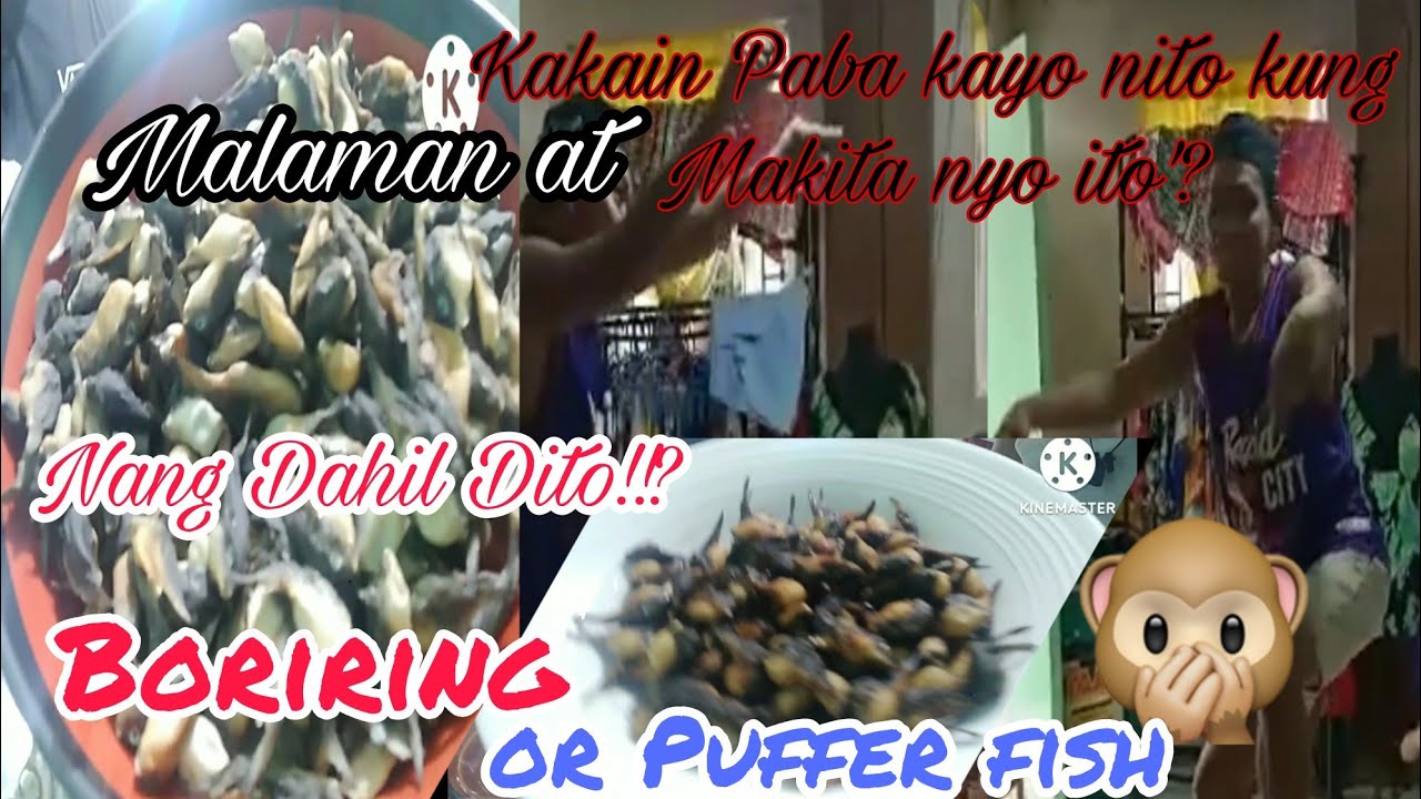 Kakain paba kayo nito,,pag nakita nyo to?epikto ng #Boriring#pufferfish ...