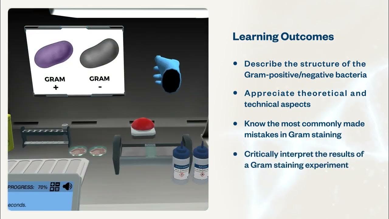 The Gram Stain: Identify and differentiate bacteria | Virtual Lab - YouTube