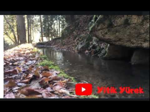 {kaside-i muzariyye/mudariyye - imam Busiri} #kasideimuzariyye